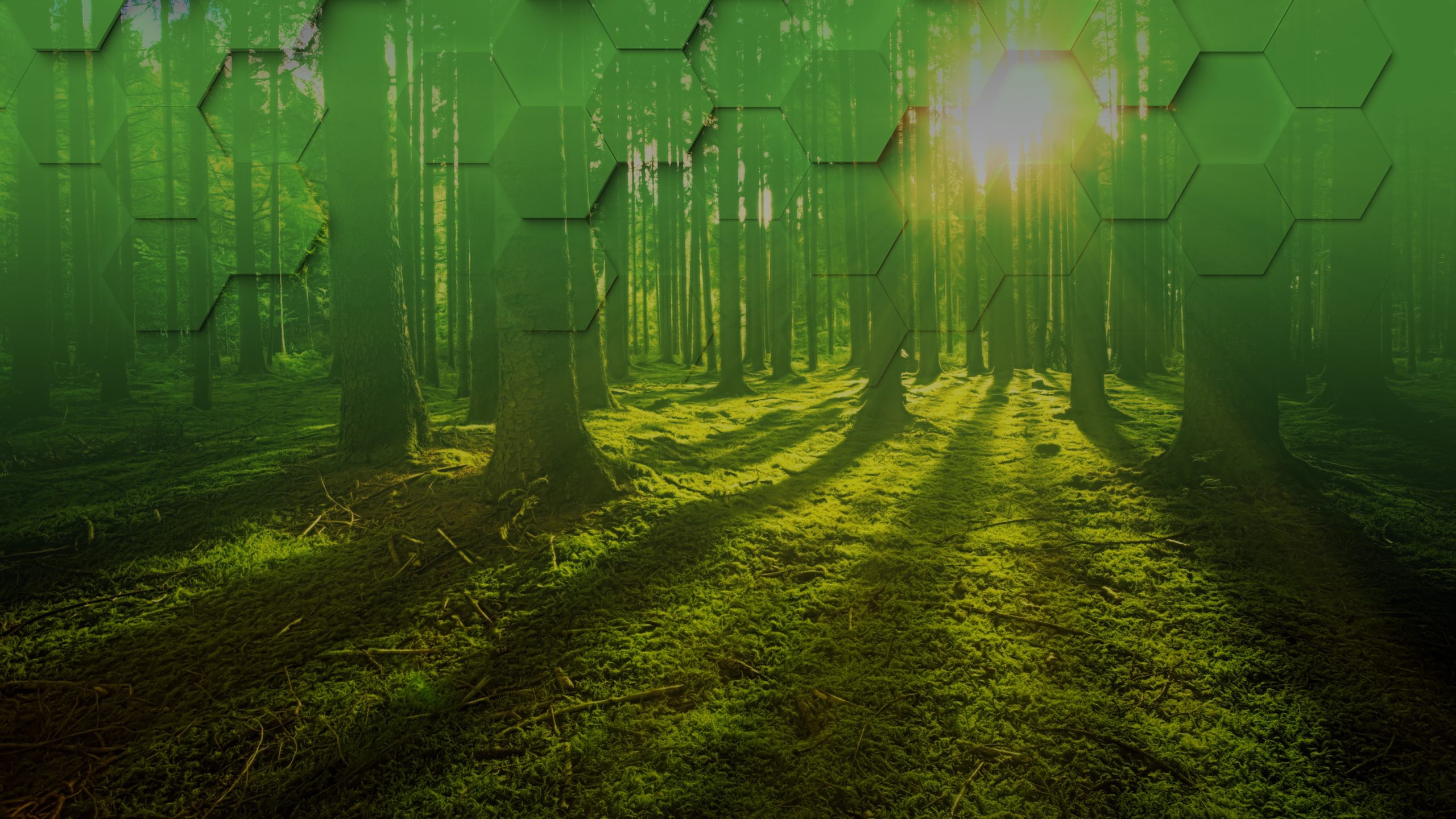 Home - MPRC – Mobile Phone Repair Centre